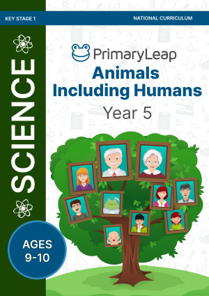 Science Workbook: Animals, including humans | PrimaryLeap.co.uk