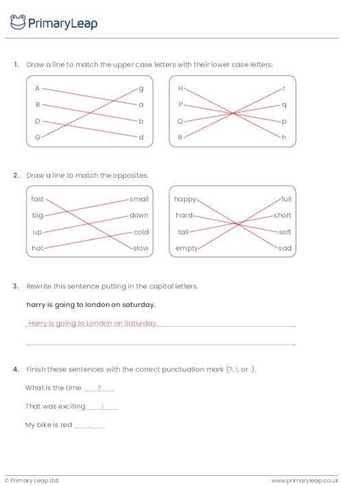 Literacy: Year 1 English Assessment Paper | Worksheet | PrimaryLeap.co.uk