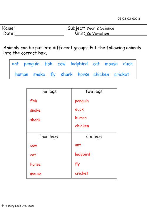 Science: How many legs? | Worksheet | PrimaryLeap.co.uk
