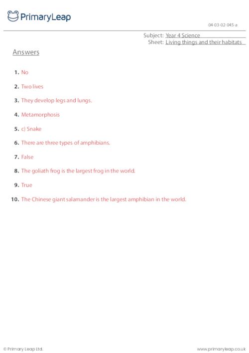 Science: All about amphibians comprehension | Worksheet | PrimaryLeap.co.uk