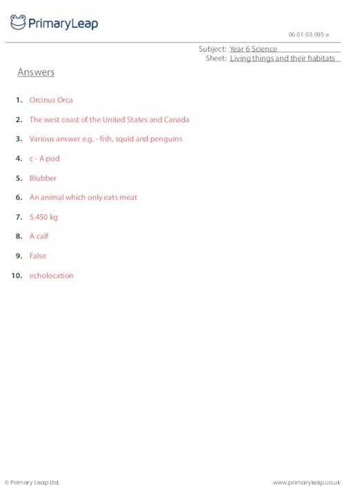 Science: Killer whale reading comprehension | Worksheet | PrimaryLeap.co.uk