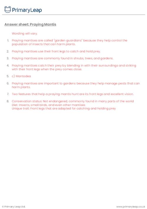 Literacy: Praying Mantis Reading Comprehension | Worksheet ...
