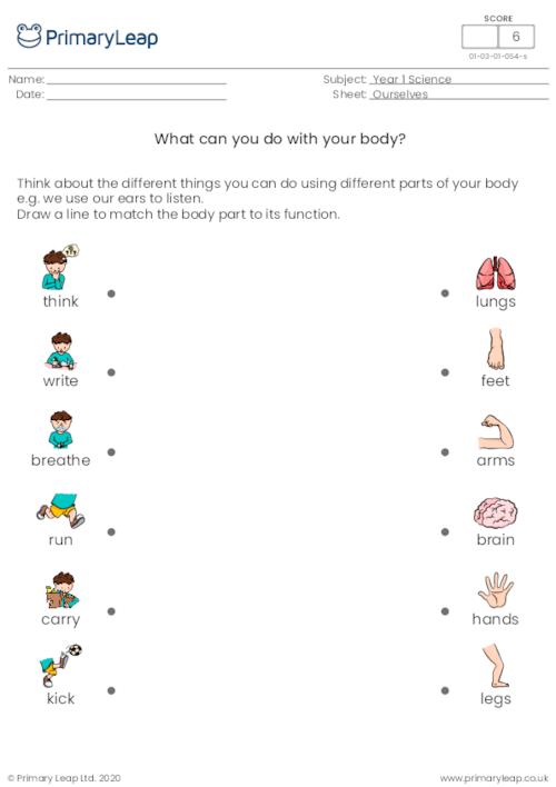 Body Parts Worksheet There Are Several Versions Of Each Type To Suit Body Parts Worksheet There Are Several Versions Of Each Type To Suit