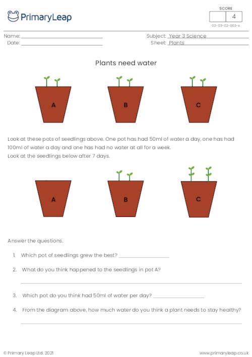 How Do Plants Grow In Water