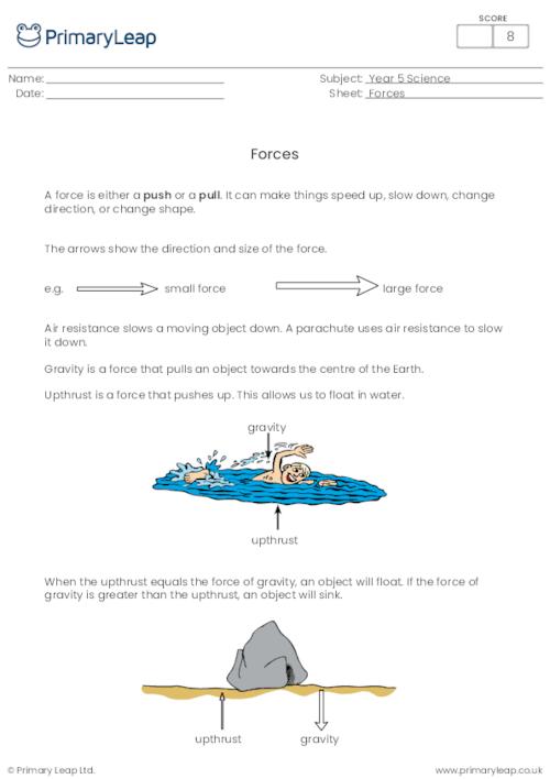 Science 8 Types Of Forces Worksheet Science 8 Types Of Forces Worksheet