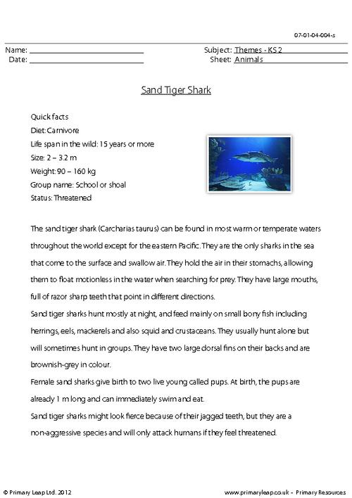 tiger shark children must read the text and then answer the questions ...