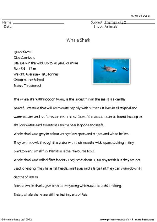 Sea Animals Reading Comprehension at Micheal Weston blog