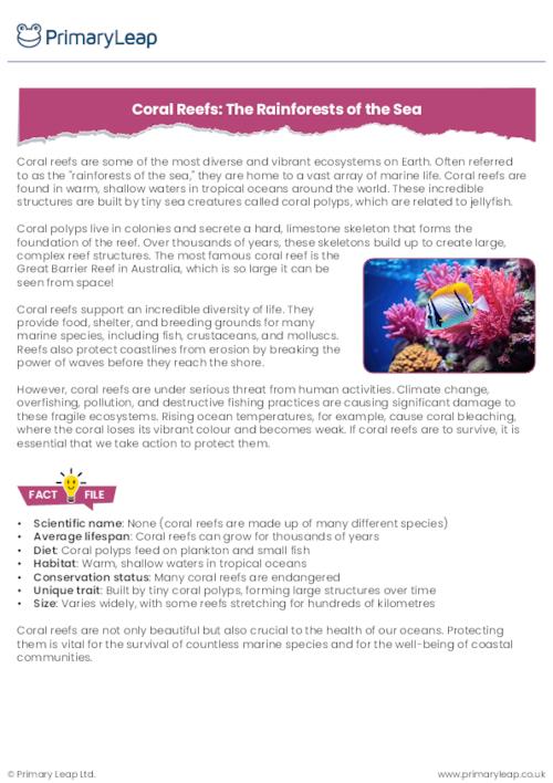 Year 6 - English: Coral Reefs Reading Comprehension