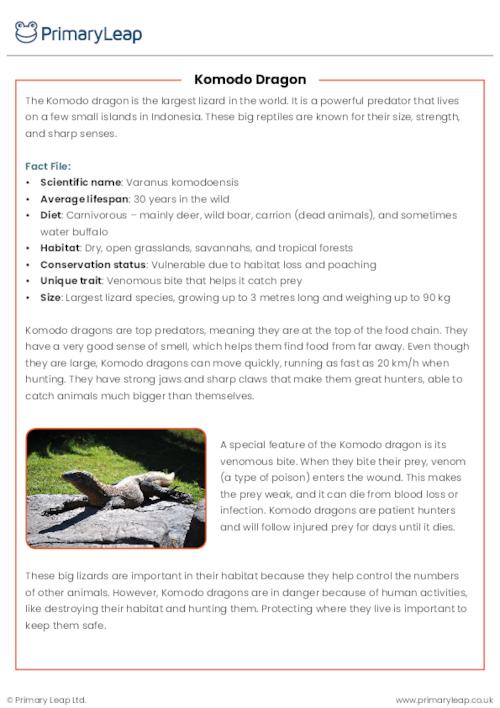Year 5 - English: Komodo Dragon Reading Comprehension