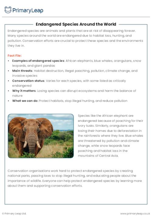 Year 5 - English: Endangered Species Around the World