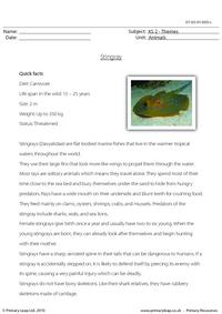 Literacy: Reading comprehension Donald Duck | Worksheet | PrimaryLeap.co.uk