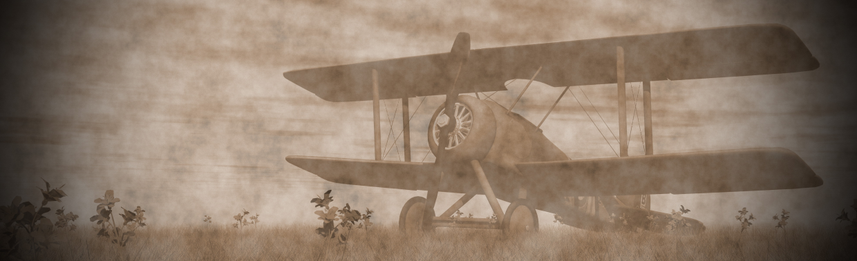 History: The Wright Brothers: Level 1 activity for kids | PrimaryLeap.co.uk