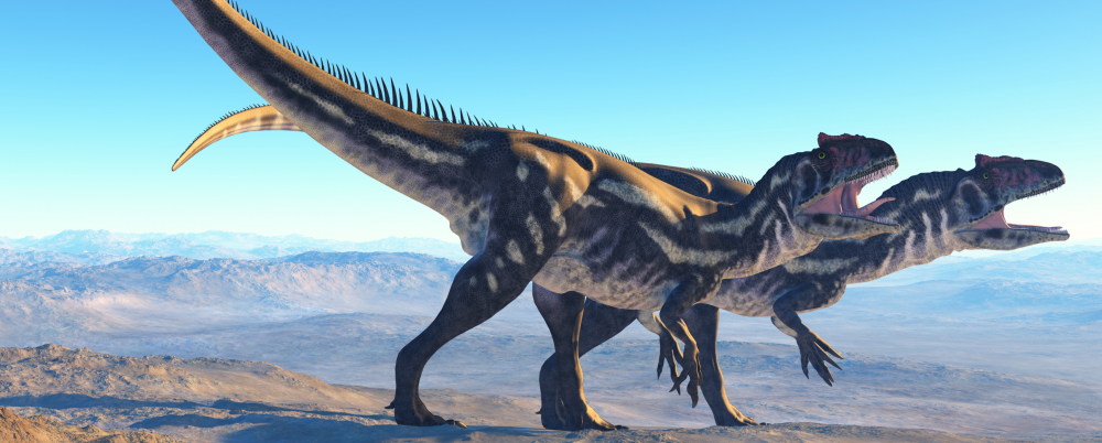 History: Allosaurus: Level 1 activity for kids | PrimaryLeap.co.uk