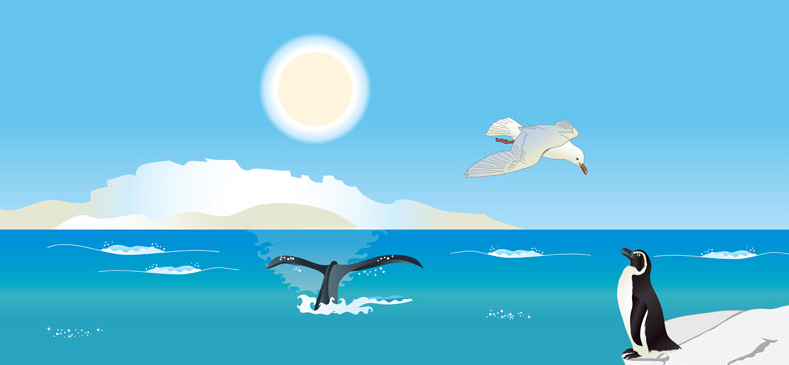 Geography: Southern Ocean: Level 1 activity for kids | PrimaryLeap.co.uk
