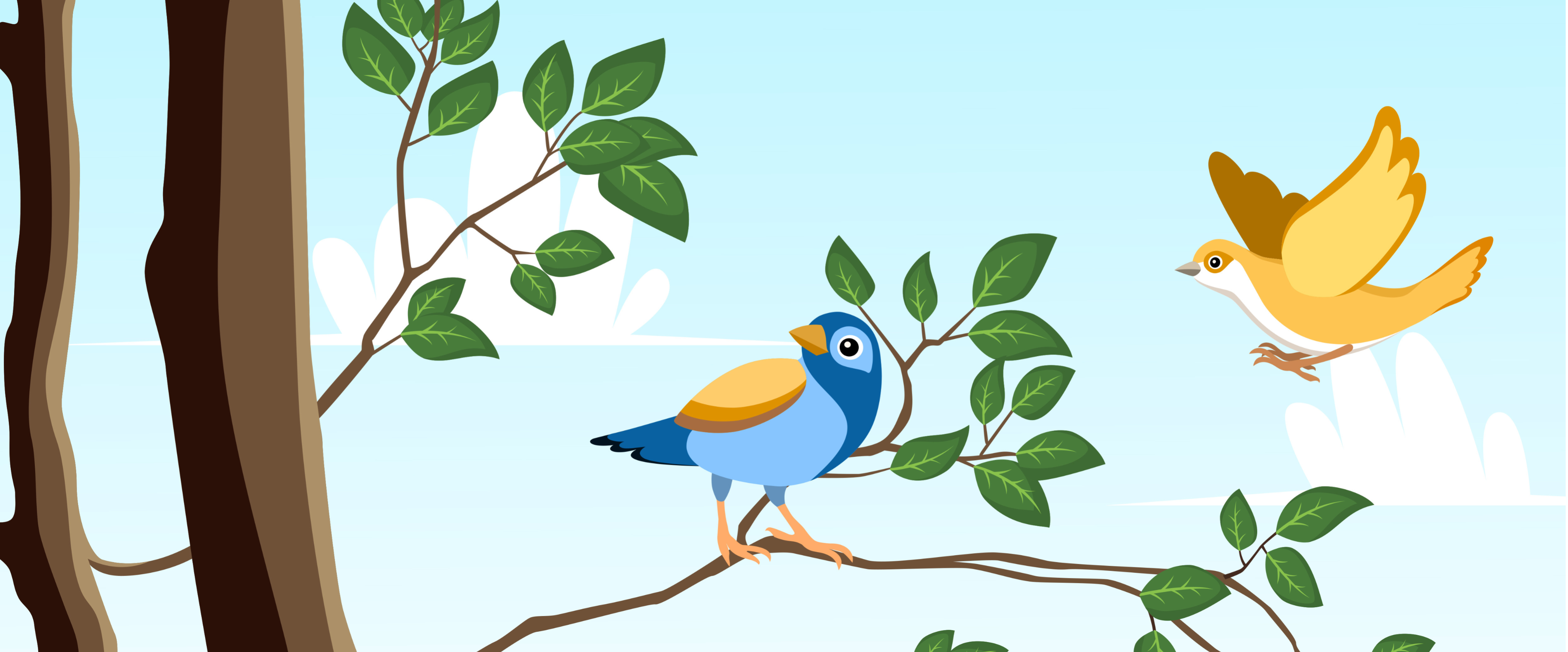 Biology: All About Birds: Level 1 activity for kids | PrimaryLeap.co.uk