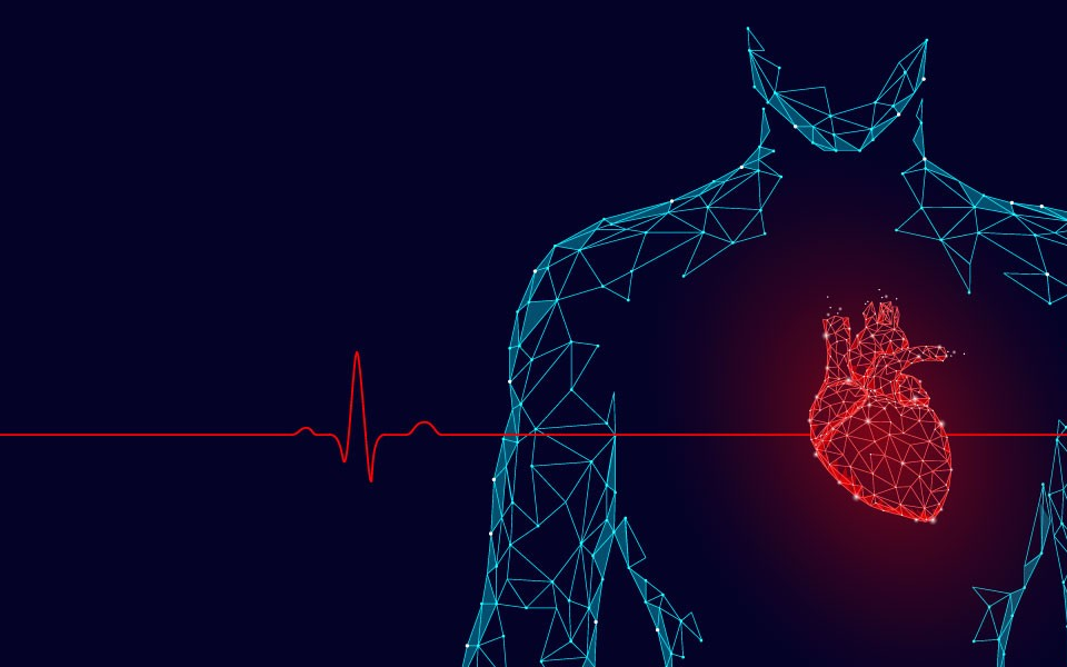 Biology: The Heart: Level 1 activity for kids | PrimaryLeap.co.uk
