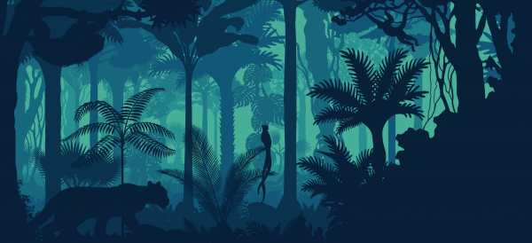 Geography: South America: Level 1 activity for kids | PrimaryLeap.co.uk