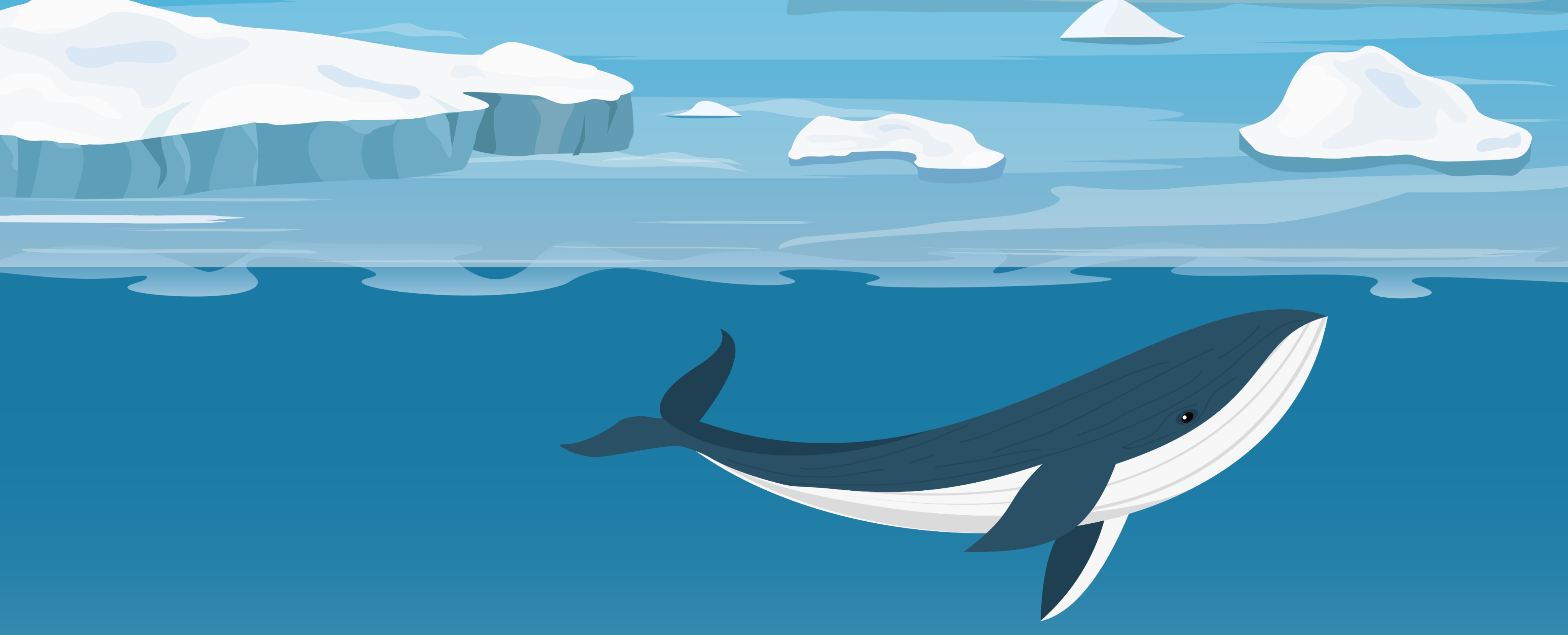 Geography: Arctic Ocean: Level 2 activity for kids | PrimaryLeap.co.uk
