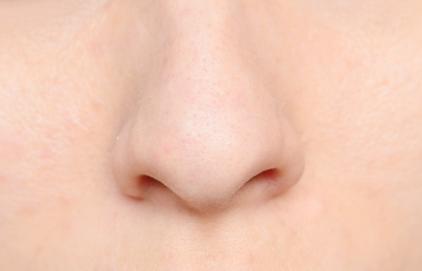 Biology: The Nose: Level 1 activity for kids | PrimaryLeap.co.uk