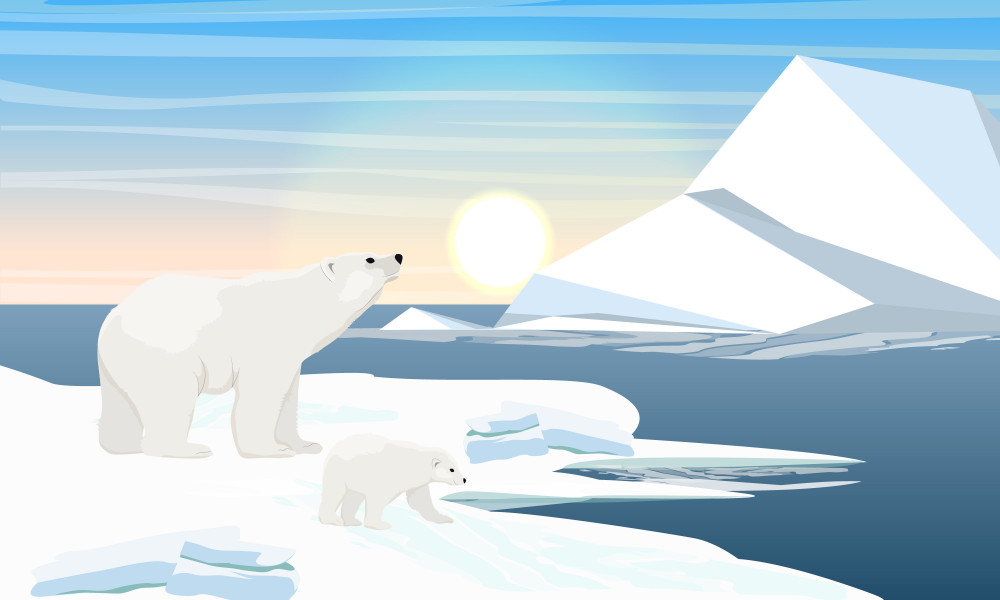 Geography: The Arctic: Level 2 activity for kids | PrimaryLeap.co.uk