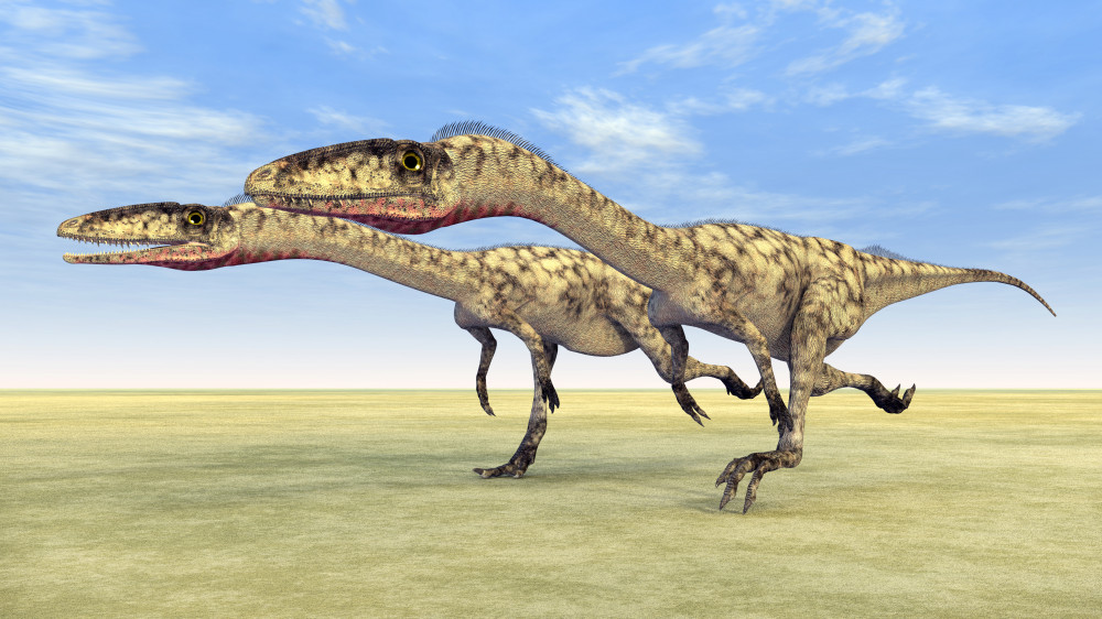 History: When Was The Triassic Period: Level 1 activity for kids ...