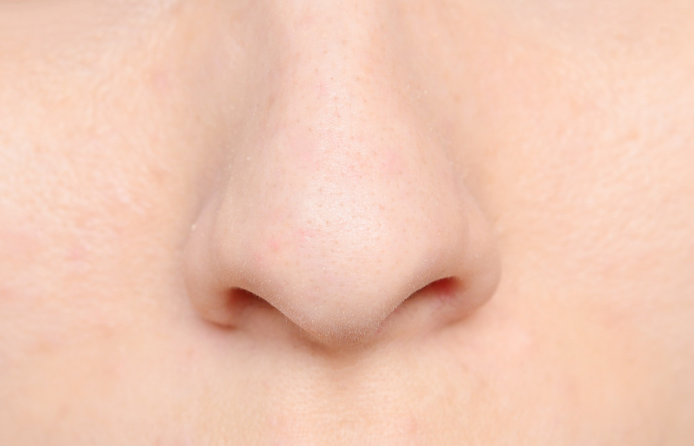 Biology: The Nose: Level 1 activity for kids | PrimaryLeap.co.uk