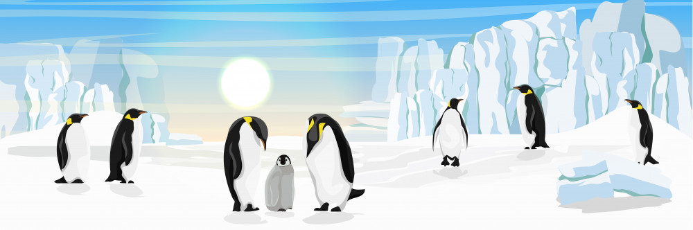 Geography: Antarctica 2: Level 1 activity for kids | PrimaryLeap.co.uk