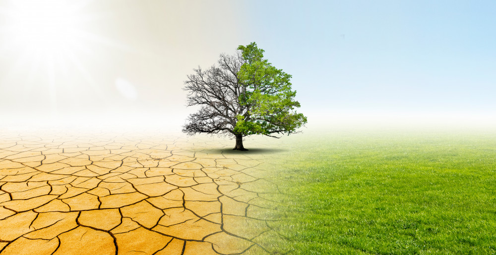 Geography: Droughts: Level 1 activity for kids | PrimaryLeap.co.uk