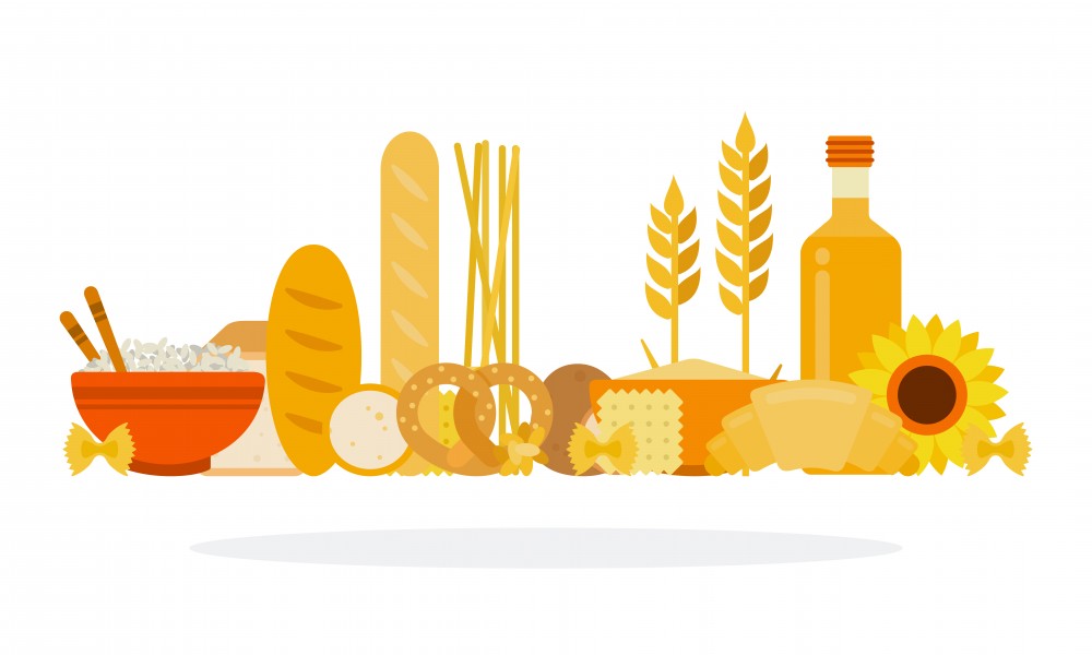 Biology: Carbohydrates: Level 1 activity for kids | PrimaryLeap.co.uk