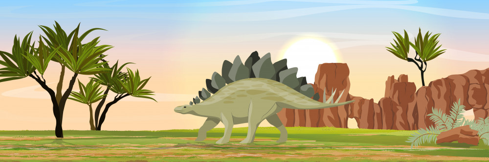 History: Stegosaurus: Level 1 activity for kids | PrimaryLeap.co.uk