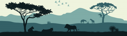 Biology: What Is A Carnivore: Level 1 activity for kids | PrimaryLeap.co.uk