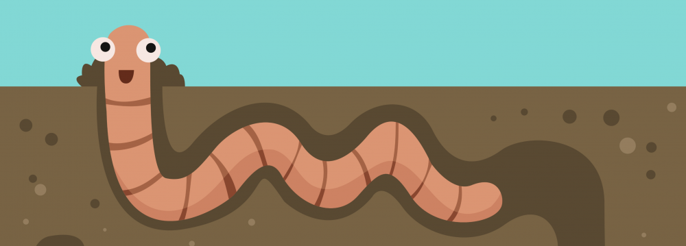 Biology: All About Earthworms: Level 1 activity for kids | PrimaryLeap ...