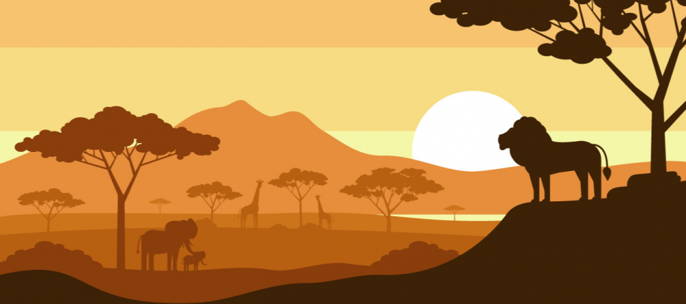Geography Africa Level 1 Activity For Kids Primaryleap Co Uk