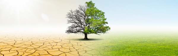 Geography: Droughts: Level 1 activity for kids | PrimaryLeap.co.uk