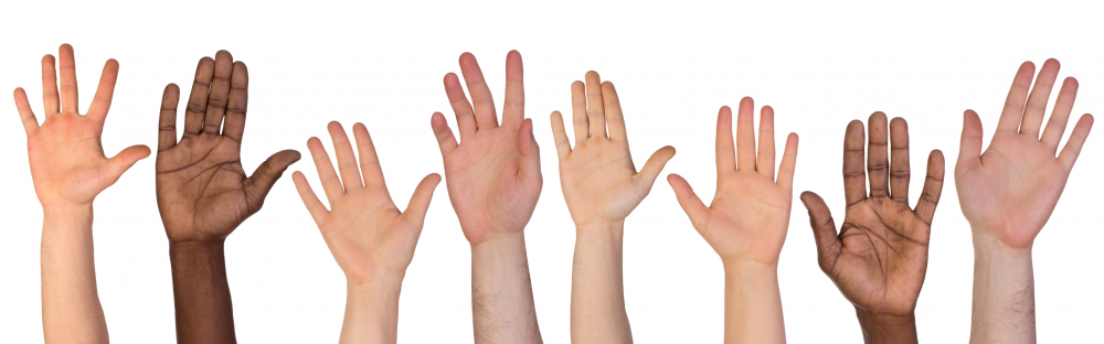 Biology: Skin: Level 2 activity for kids | PrimaryLeap.co.uk