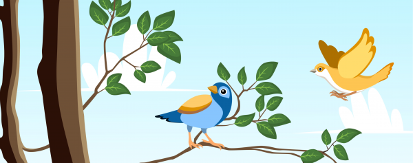 Biology: All About Birds: Level 1 activity for kids | PrimaryLeap.co.uk