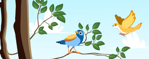 Biology: All About Birds: Level 1 activity for kids | PrimaryLeap.co.uk