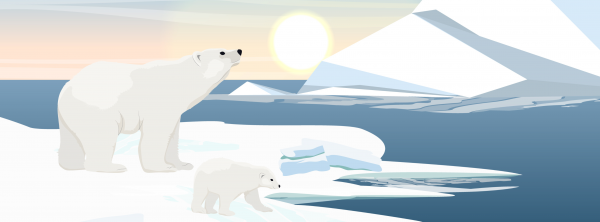 Geography: The Arctic: Level 1 activity for kids | PrimaryLeap.co.uk