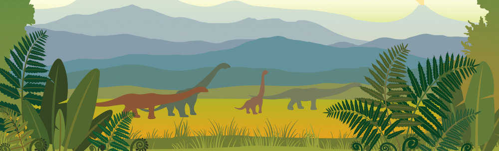 History: Diplodocus: Level 1 activity for kids | PrimaryLeap.co.uk