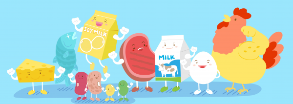 Biology: Proteins: Level 1 activity for kids | PrimaryLeap.co.uk