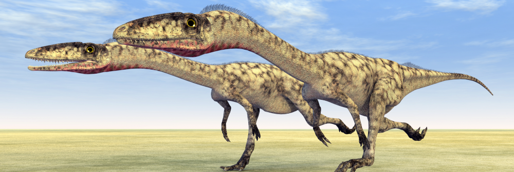 Triassic First Dinosaurs