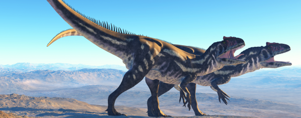 History: Allosaurus: Level 1 activity for kids | PrimaryLeap.co.uk