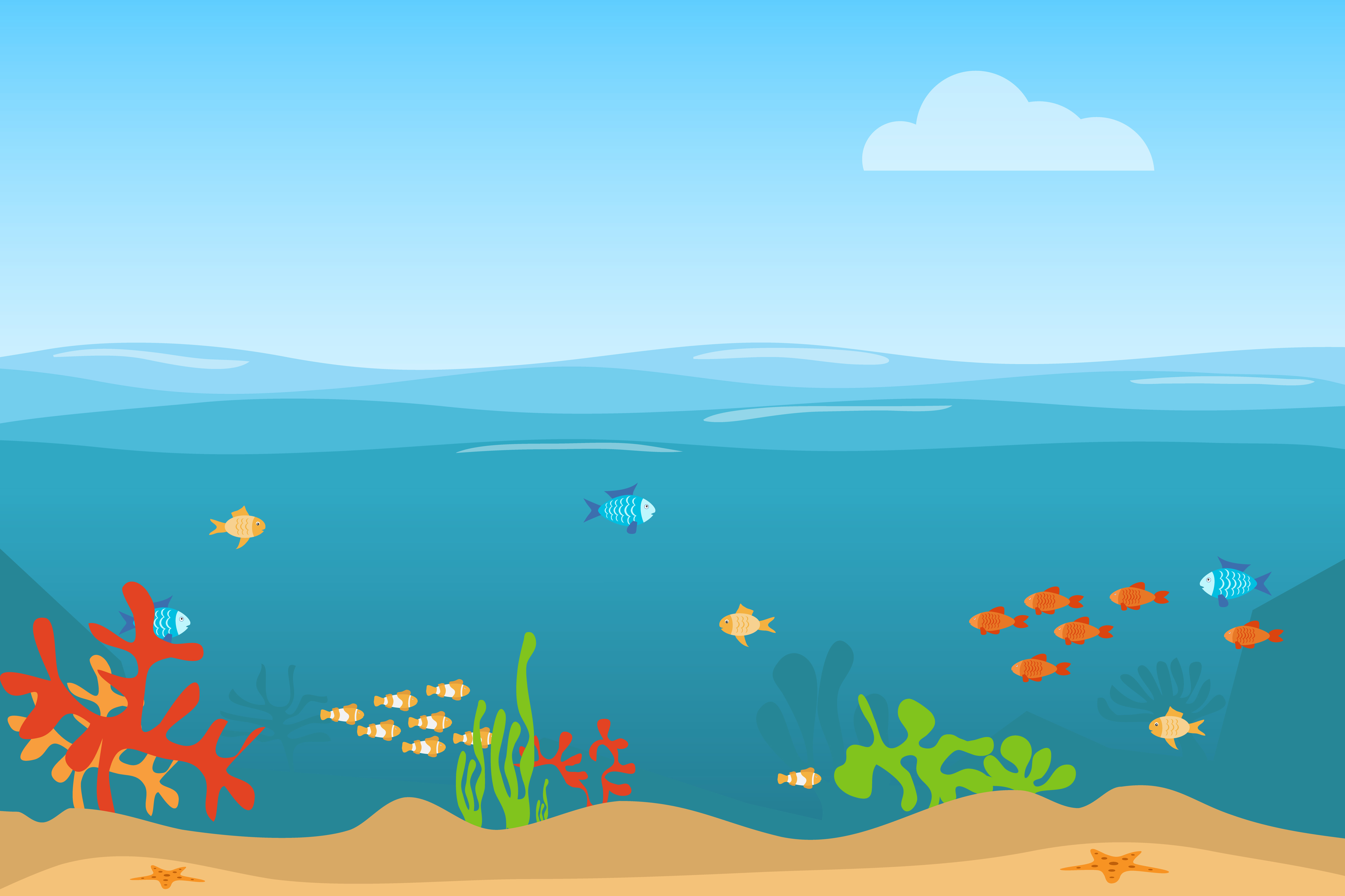 Biology: Fish: Level 3 activity for kids | PrimaryLeap.co.uk