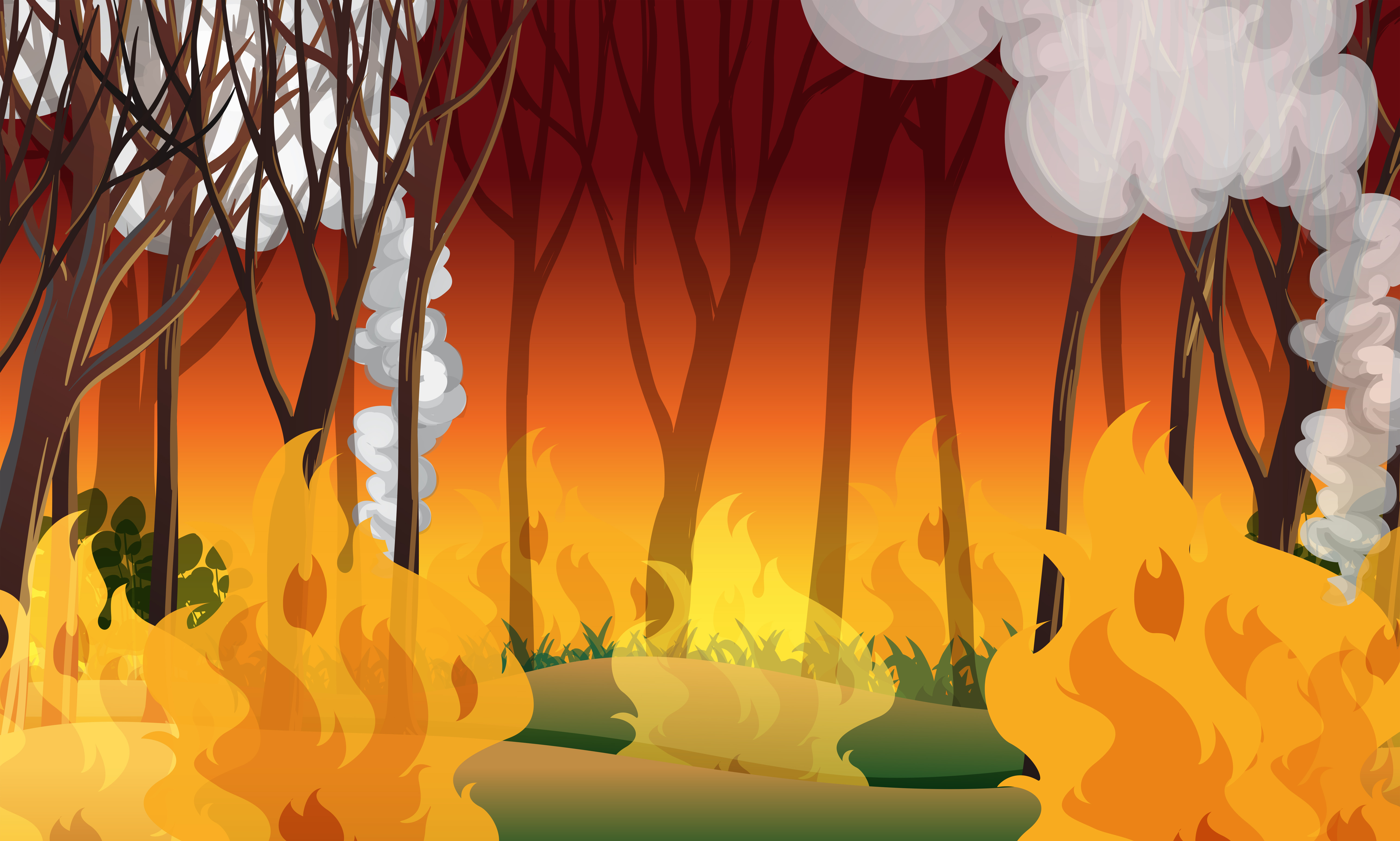 Geography: Forest Fires: Level 2 activity for kids | PrimaryLeap.co.uk