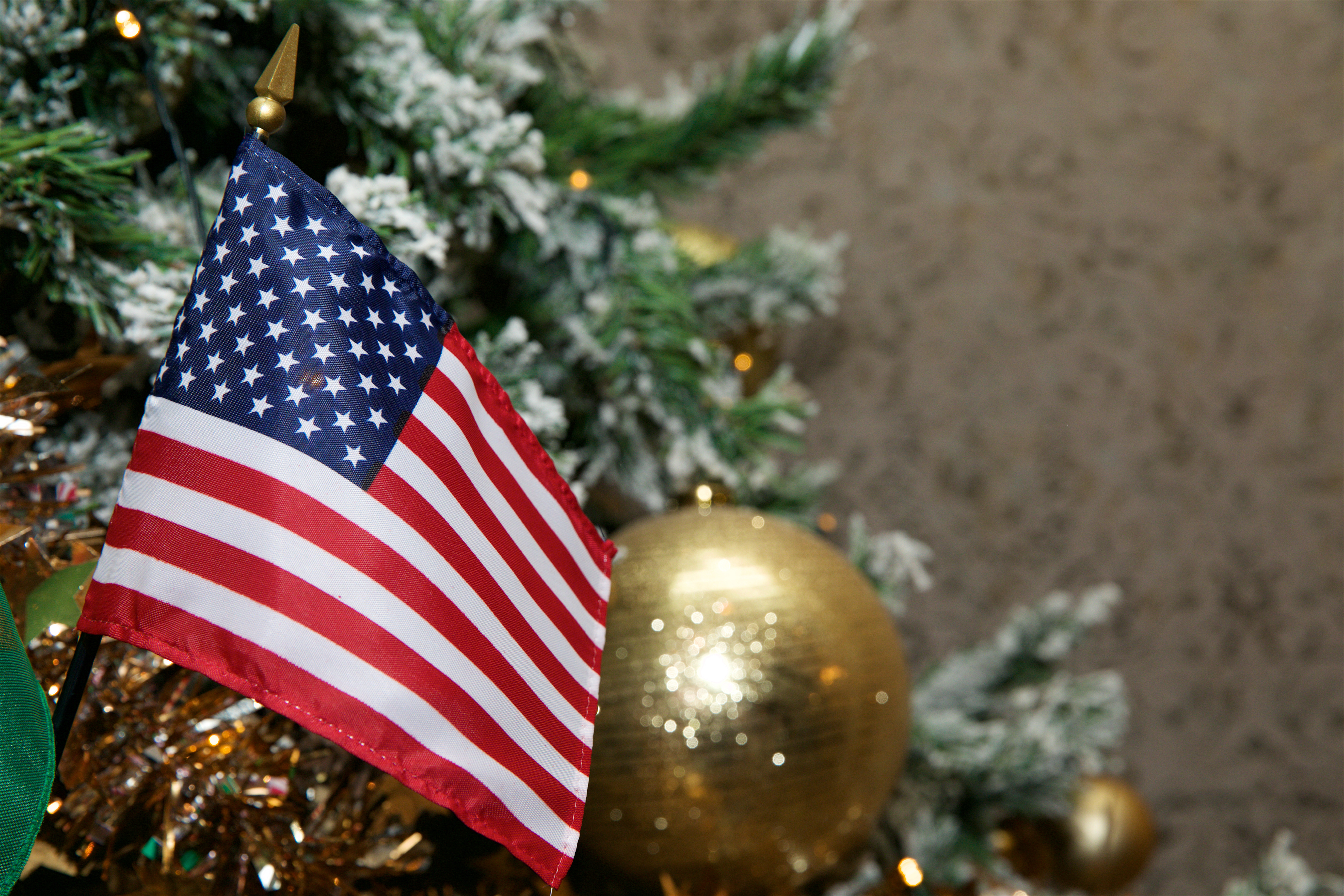 History: Christmas In The Usa: Level 1 activity for kids | PrimaryLeap ...