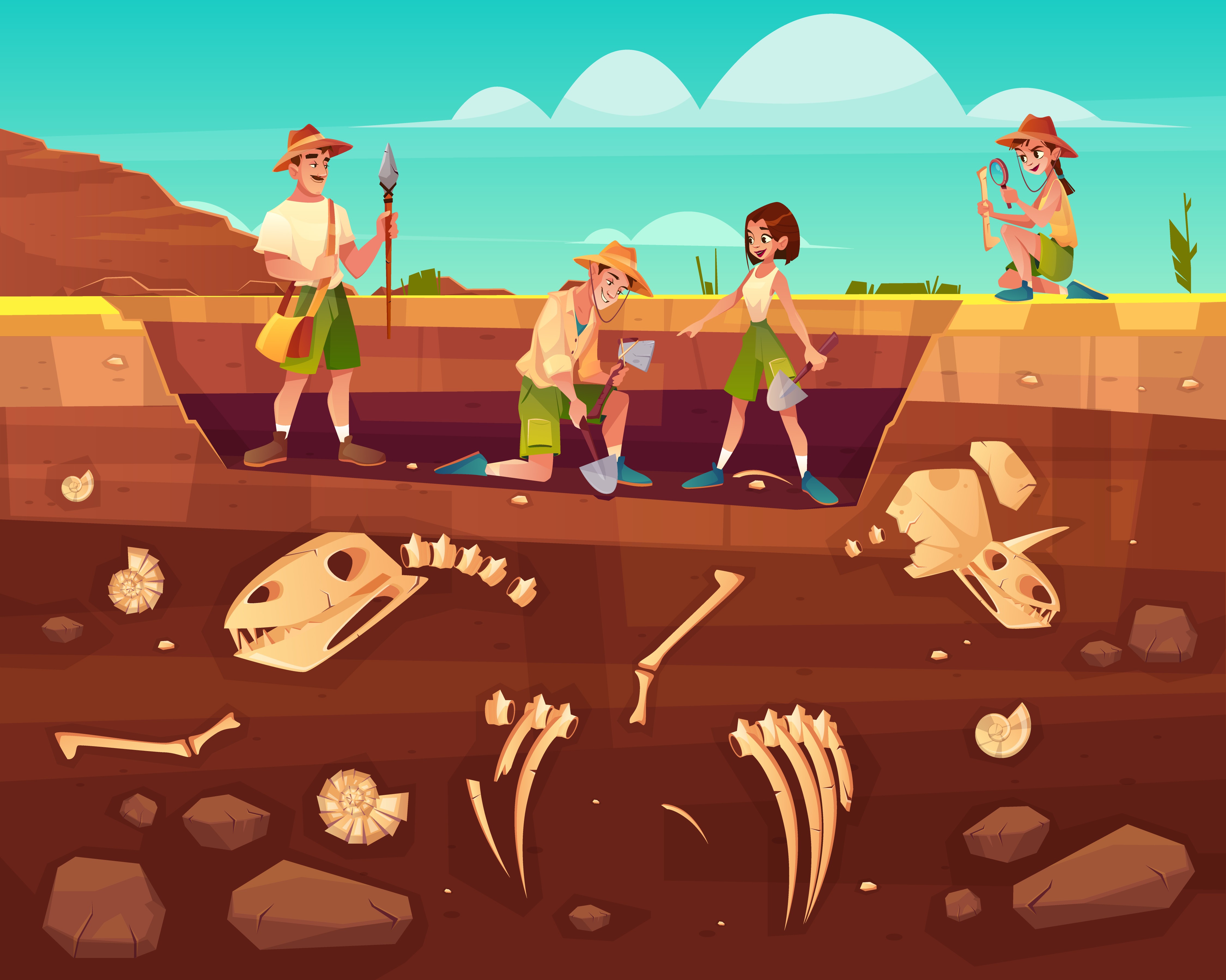 Chemistry: Fossils: Level 1 activity for kids | PrimaryLeap.co.uk