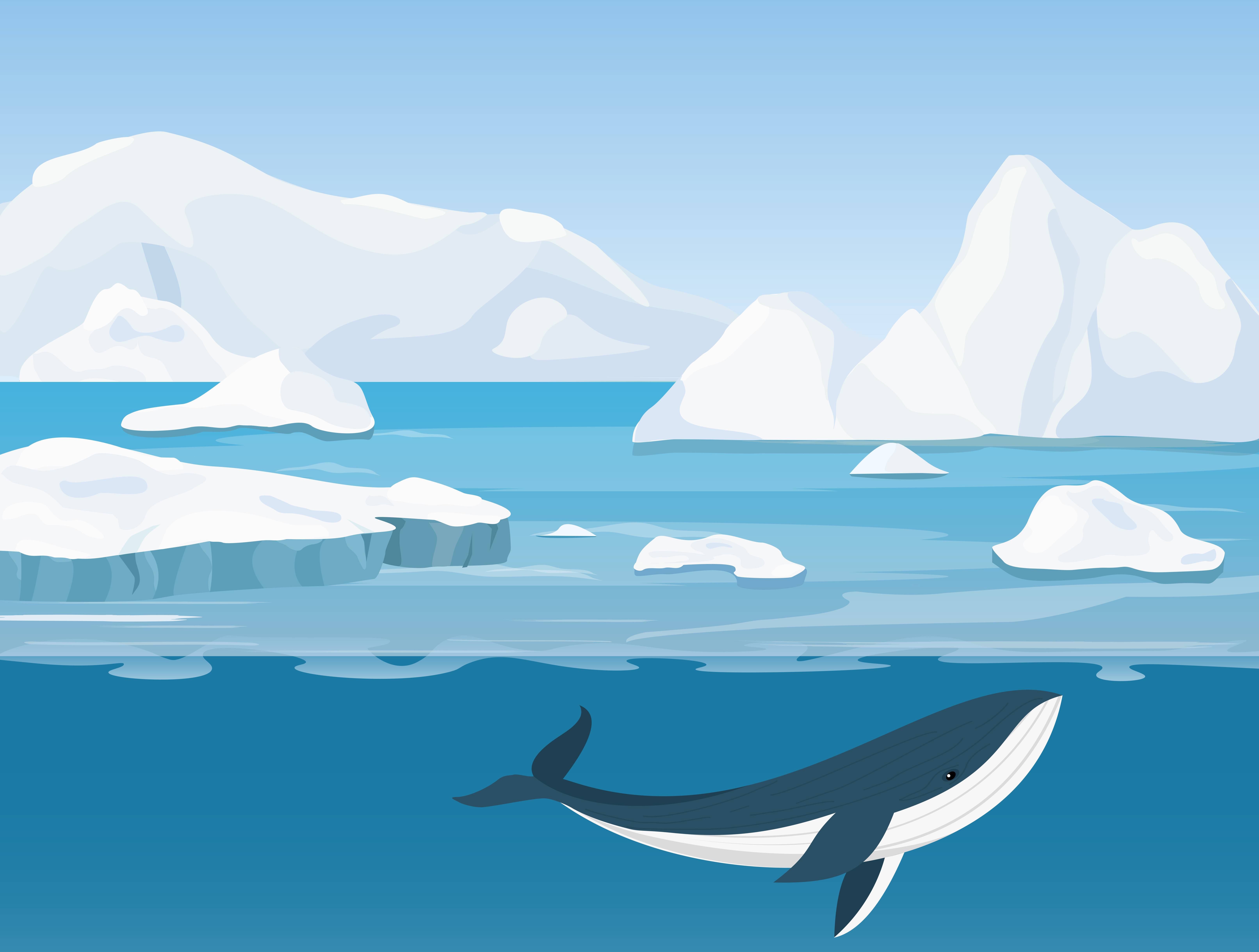 Geography: Arctic Ocean: Level 1 activity for kids | PrimaryLeap.co.uk
