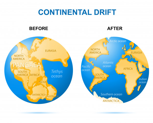 Geography: Continental Drift: Level 1 activity for kids | PrimaryLeap.co.uk