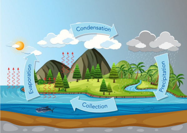 Chemistry: Condensation: Level 1 activity for kids | PrimaryLeap.co.uk