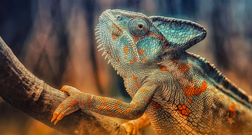 Biology: All About Reptiles: Level 3 activity for kids | PrimaryLeap.co.uk